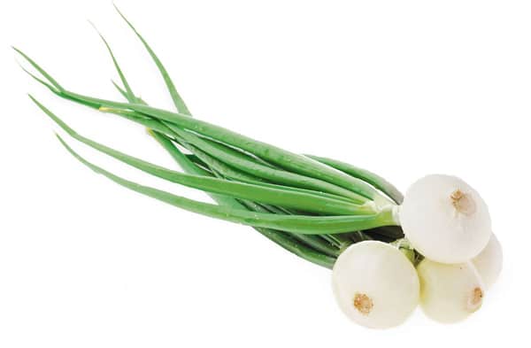 Oignons frais blancs - Guide des Aliments