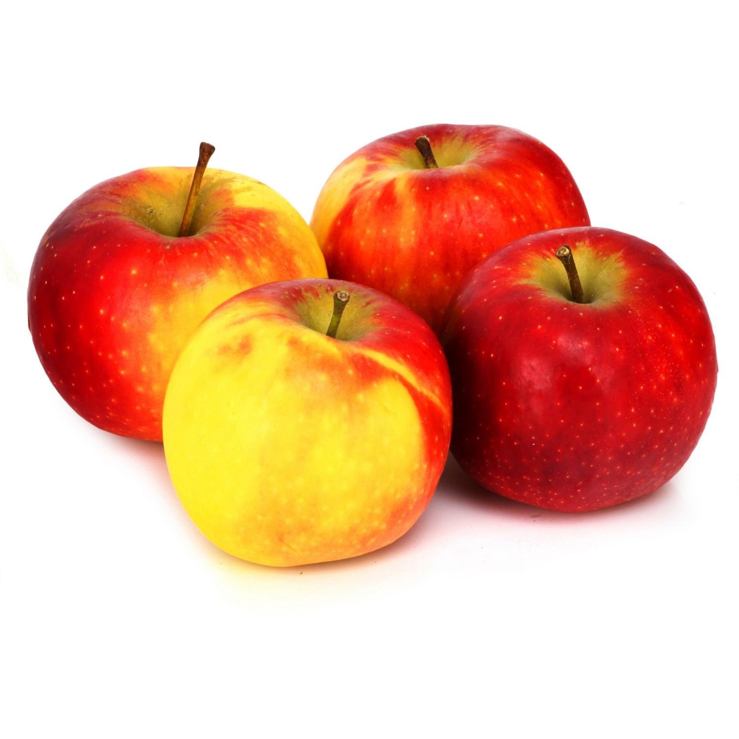 Pommes Ariane - Guide des Aliments