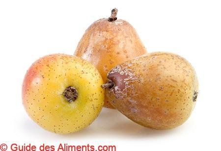 Cormes - Guide des Aliments