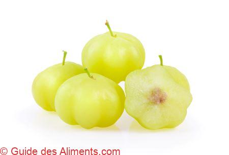 Surelle - Guide des Aliments