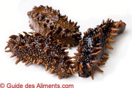 Concombre de mer - Guide des Aliments