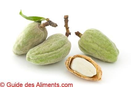 Amande - Guide des Aliments