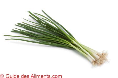 Ciboule - Guide des Aliments