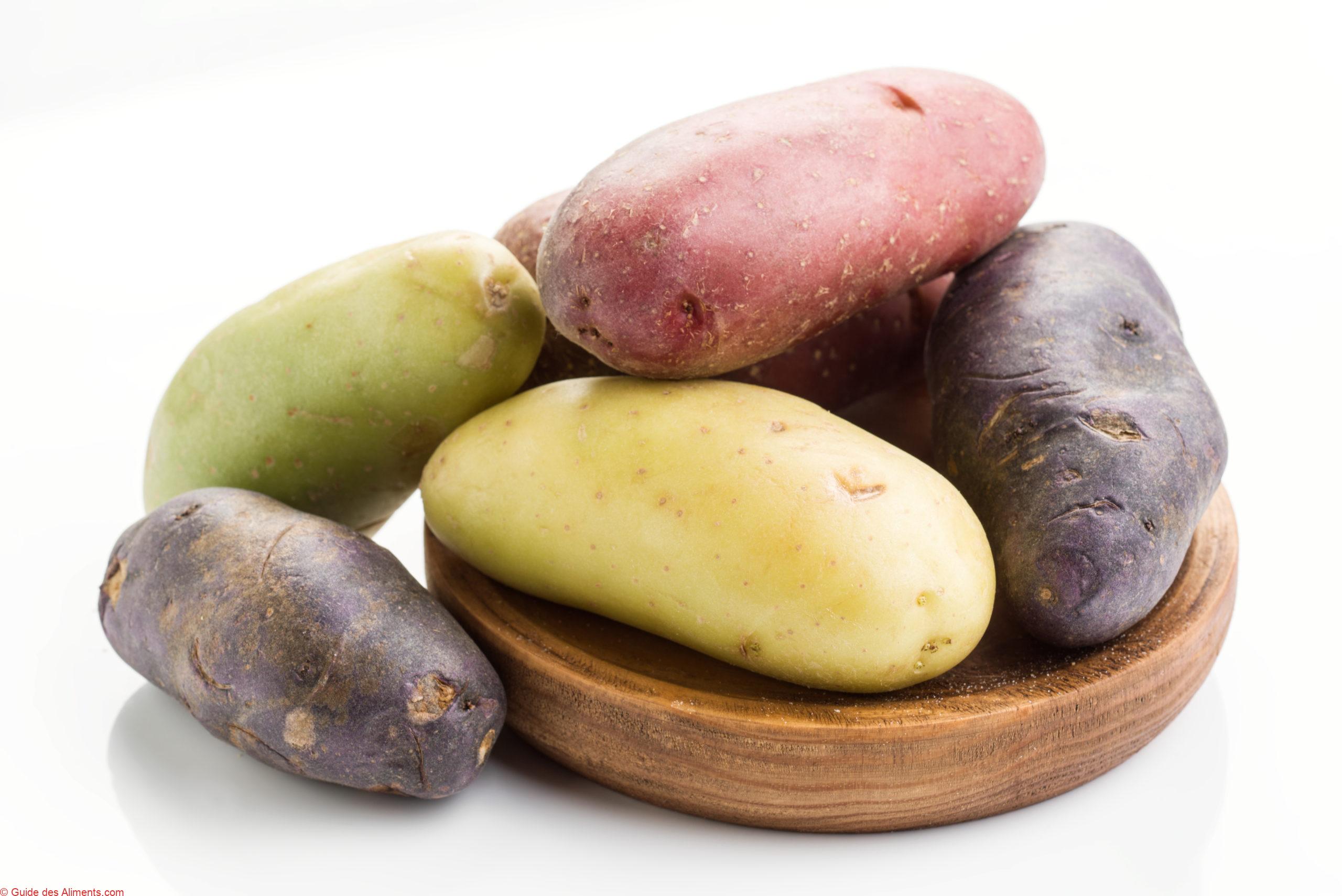 Tubercule - Guide des Aliments