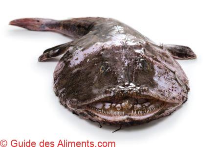 Baudroie - Guide des Aliments