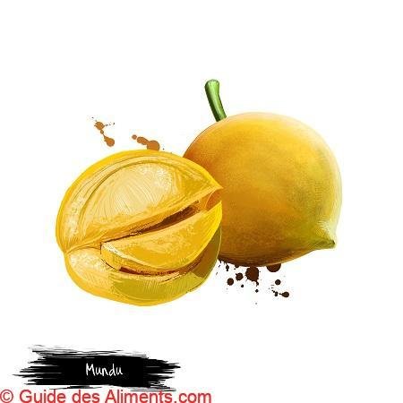 Garcinia dulcis - Guide des Aliments