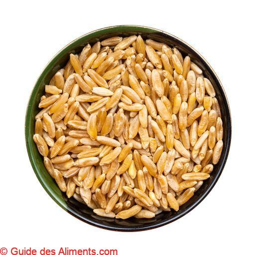 Blé khorasan - Guide des Aliments