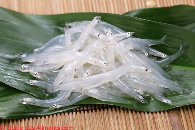 Salangichthys - Guide des Aliments