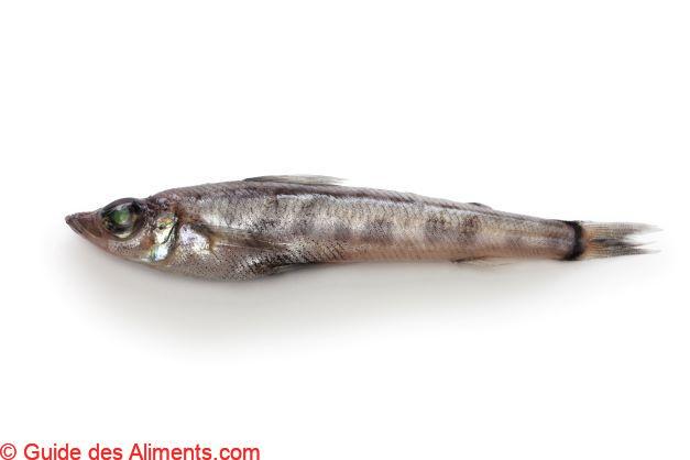 Mehikari (Greeneyes) - Guide des Aliments