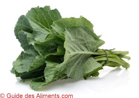Chou cavalier - Guide des Aliments