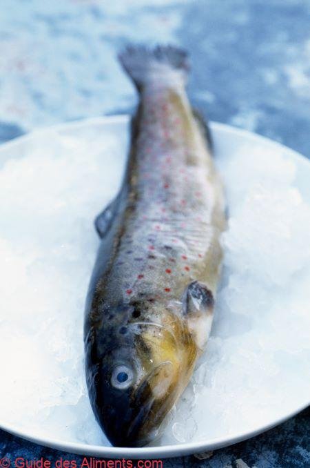 Omble chevalier - Guide des Aliments