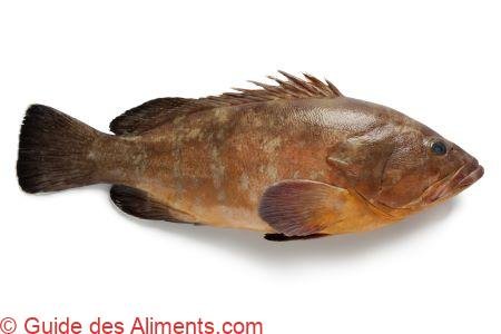 Mérou brun - Guide des Aliments