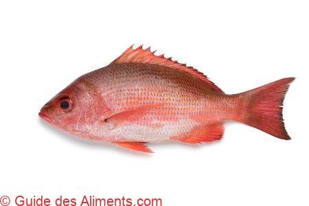 Vivaneau campèche, Vivaneau rouge - Guide des Aliments