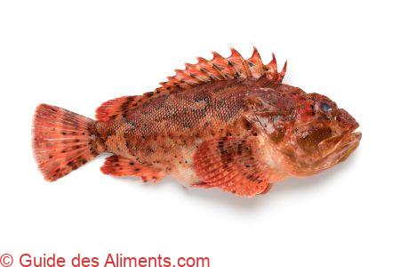 Rascasse rouge - Guide des Aliments
