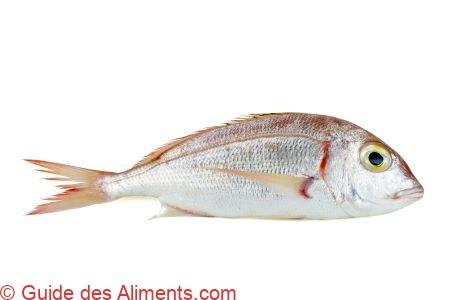 Pageot commun - Guide des Aliments