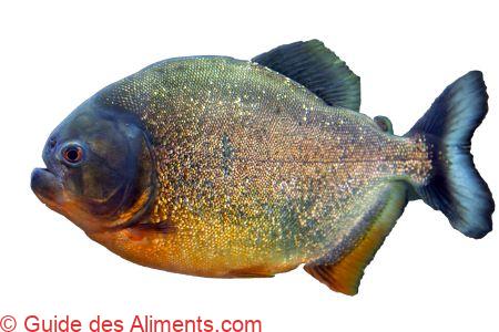 Pacu ou Cachama ou Tambaqui - Guide des Aliments