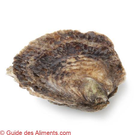 Huître plate - Guide des Aliments