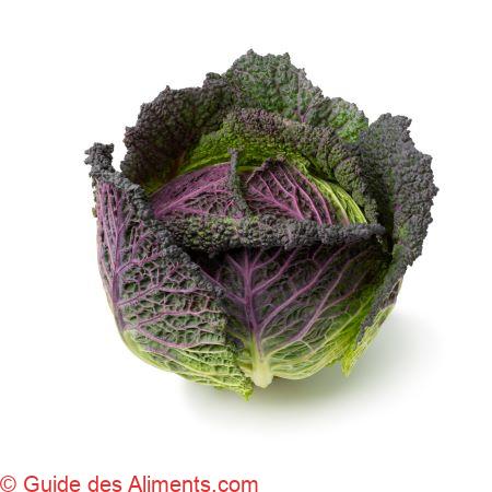 Chou de Pontoise - Guide des Aliments