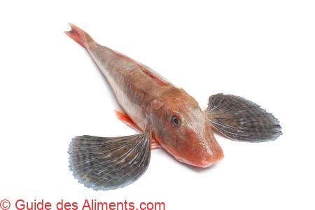 Grondin rouge - Guide des Aliments