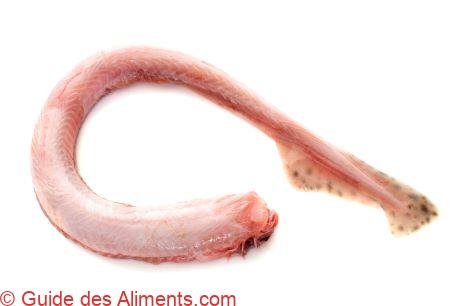 Grande roussette - Guide des Aliments