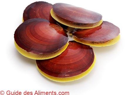 Pétoncle japonais - Guide des Aliments