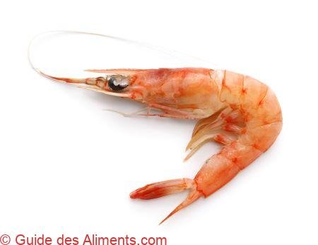 Crevette Jack-knife - Guide des Aliments