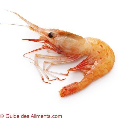 Crevette botan - Guide des Aliments