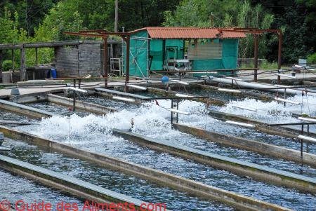 Pisciculture - Guide des Aliments