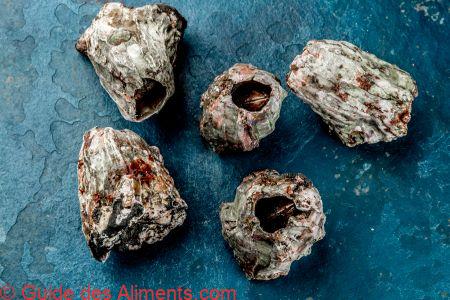 Picoroco - Guide des Aliments