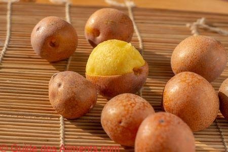 Hacha - Guide des Aliments