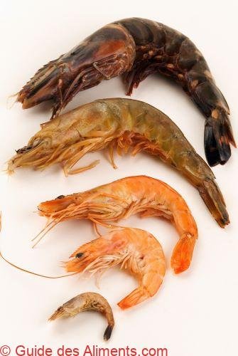 Crevette - Guide des Aliments
