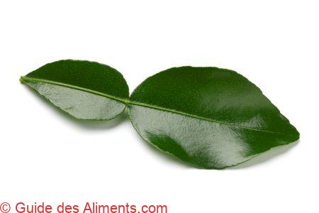 Feuille de combava - Guide des Aliments