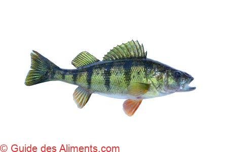 Perchaude - Guide des Aliments