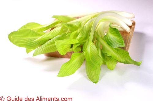 Urui - Guide des Aliments